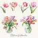 Tulip Flowers, Watercolor Flowers, Floral Png, Spring Clipart, Flower ...