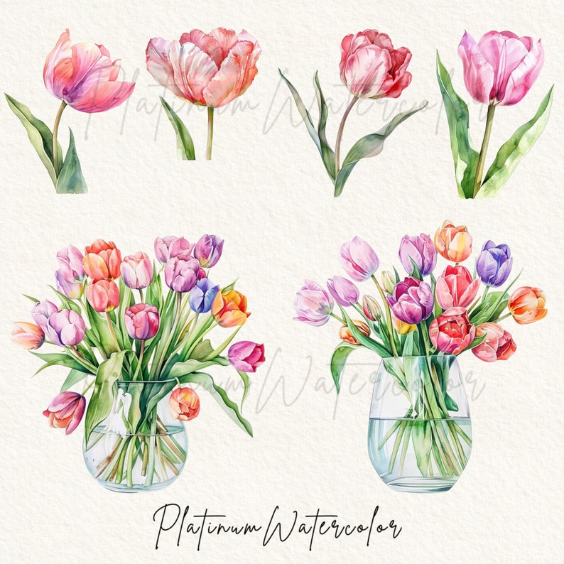 Tulip Flowers, Watercolor Flowers, Floral Png, Spring Clipart, Flower ...