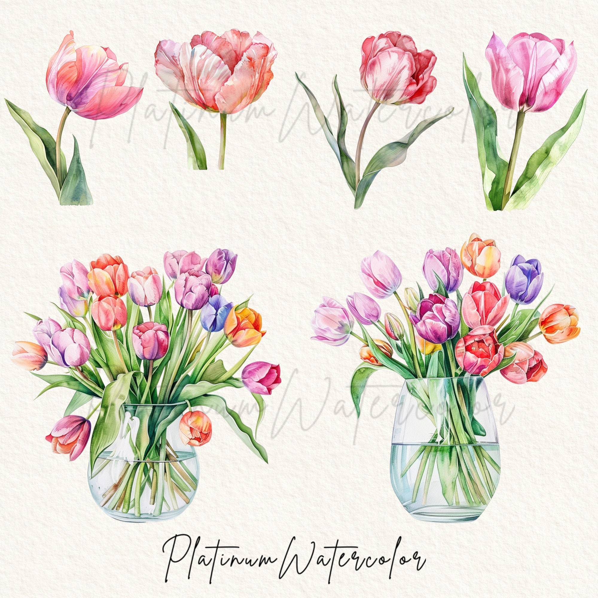 Tulip Flowers, Watercolor Flowers, Floral Png, Spring Clipart, Flower ...