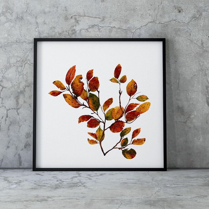 Hand Painted Autumn Twigs PNG, Clipart Bundle, Transparent Background ...