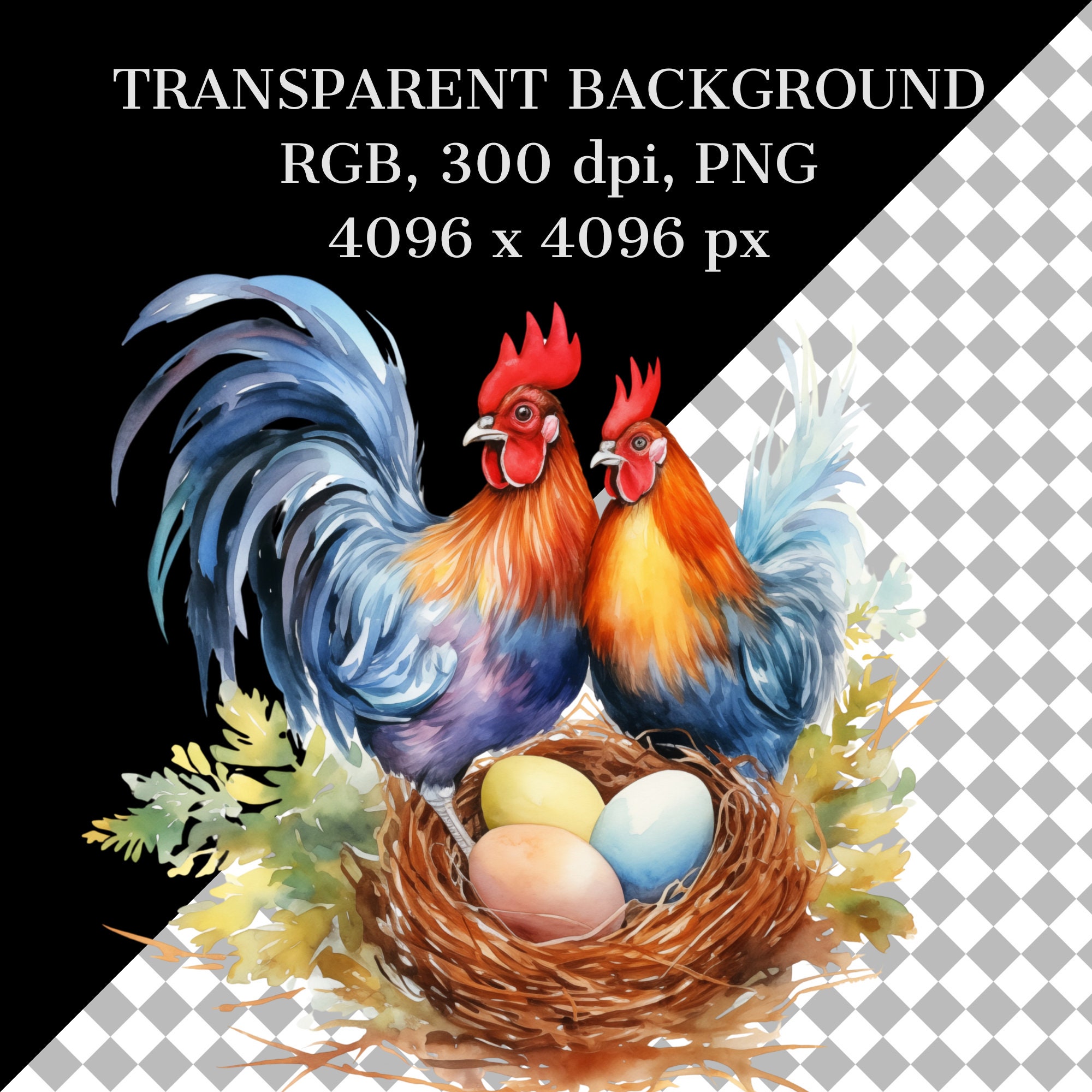 Watercolor Rooster Clipart, Chicken Png, Watercolor Chicken Clipart ...