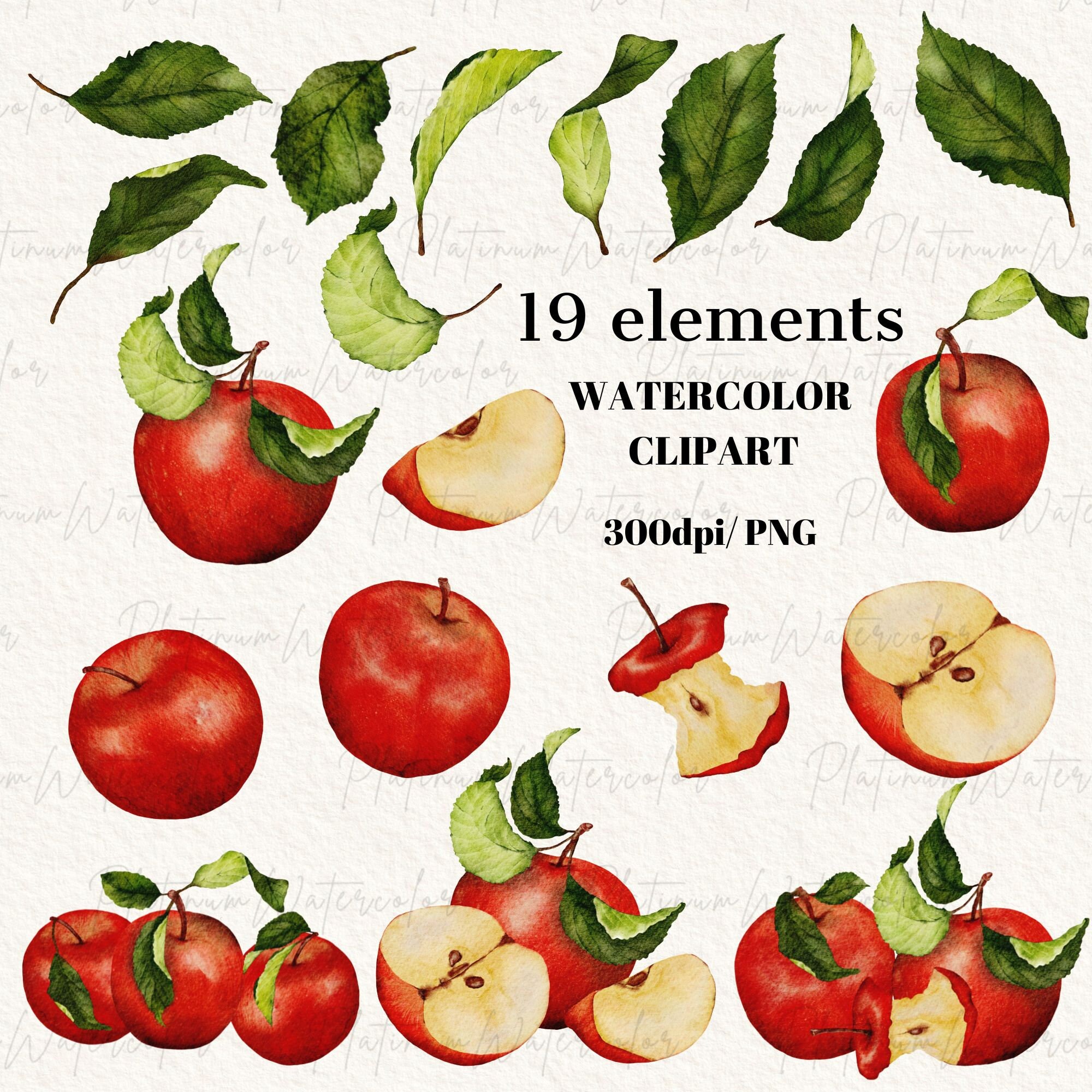 Watercolor Clipart Apple, Hand-painted Apple Png, Red Apple, Food ...