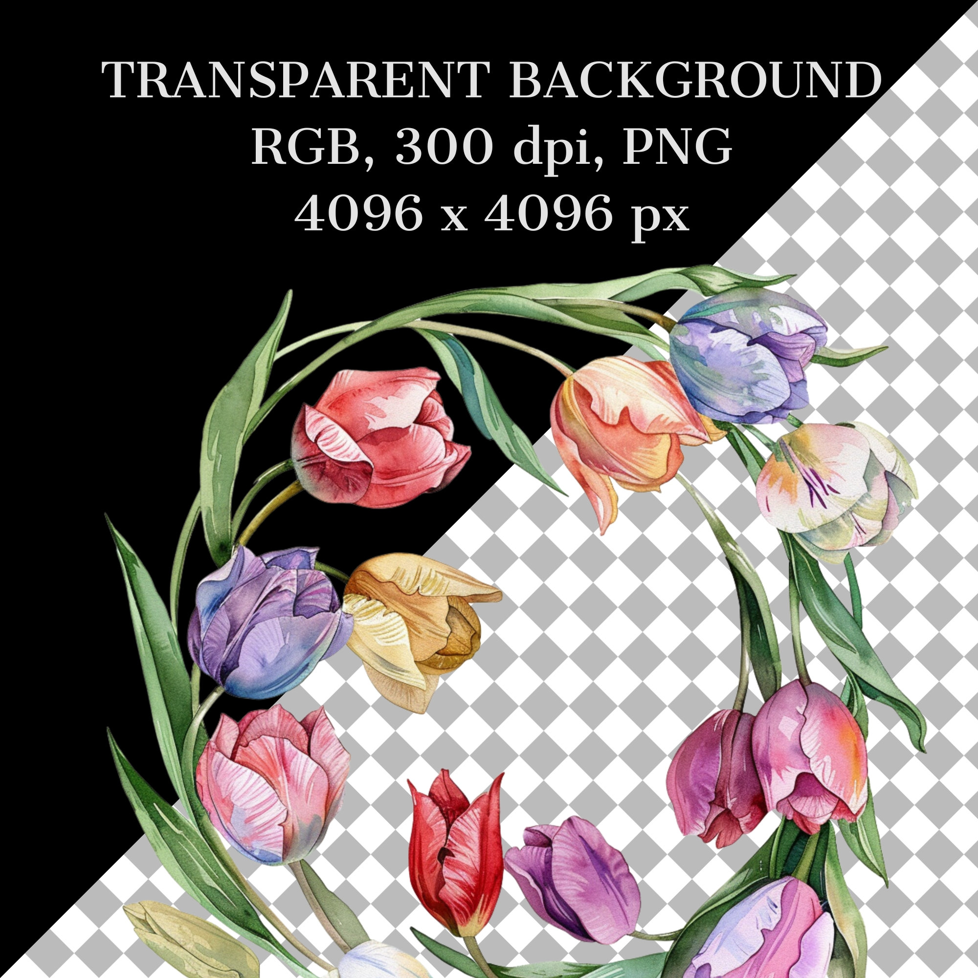 Tulip Flowers, Watercolor Flowers, Floral Png, Spring Clipart, Flower ...