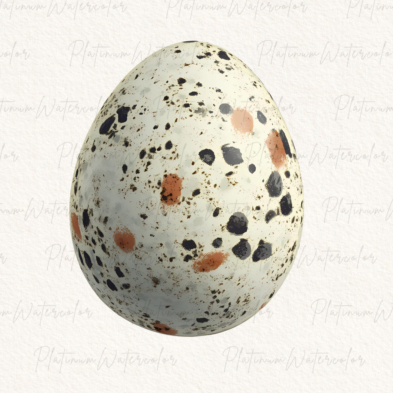 10 Quail Egg, Clipart Bundle, Easter Png, Spring Clipart, Easter ...