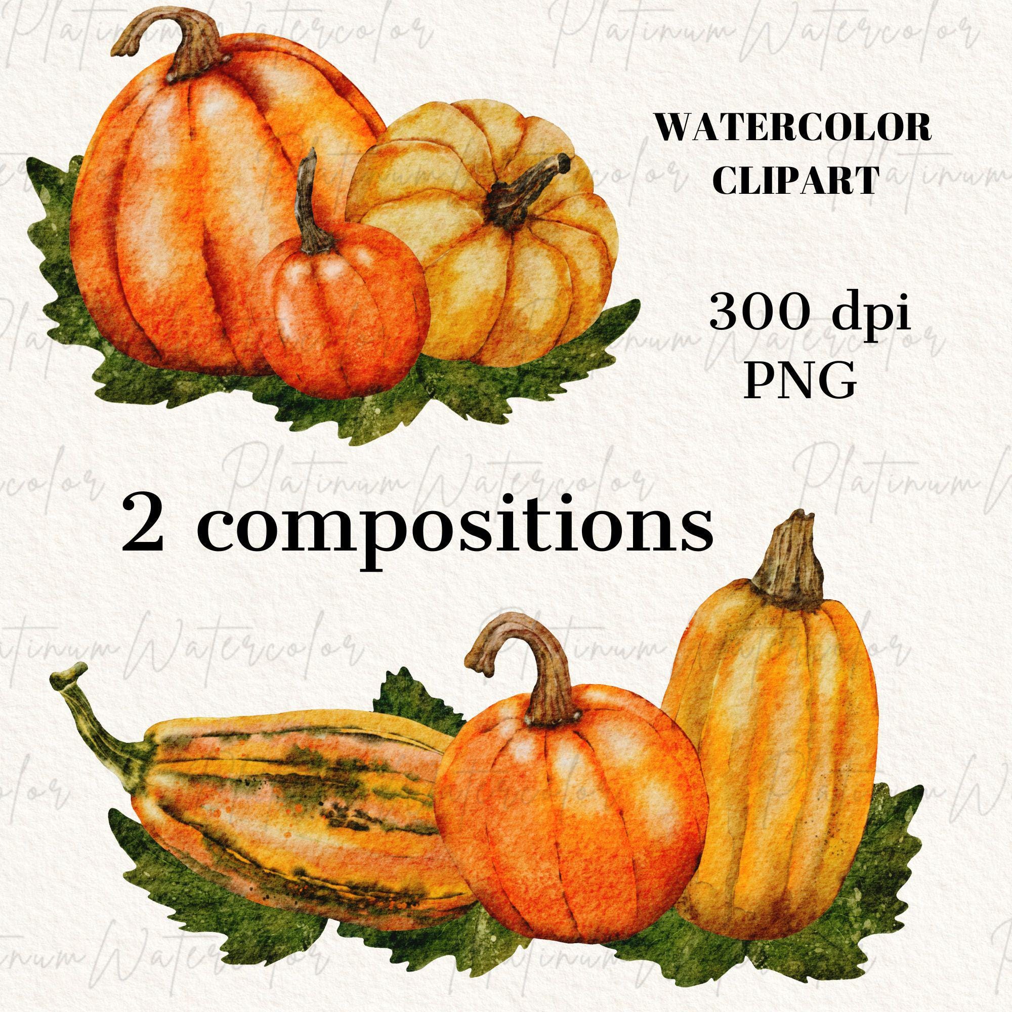 Hand Painted Pumpkins Clipart Bundle, Transparent Background, Digital ...