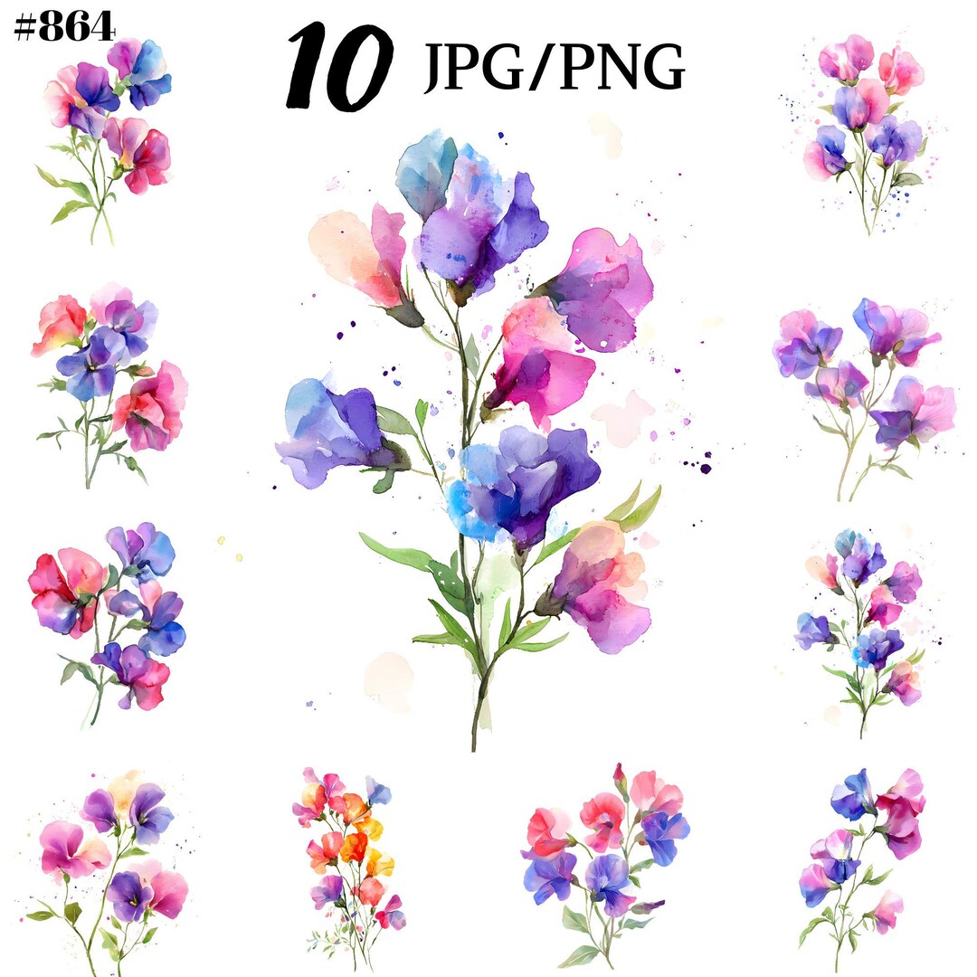 Watercolor Sweet Pea Clipart, April Birthday, Transparent Background ...
