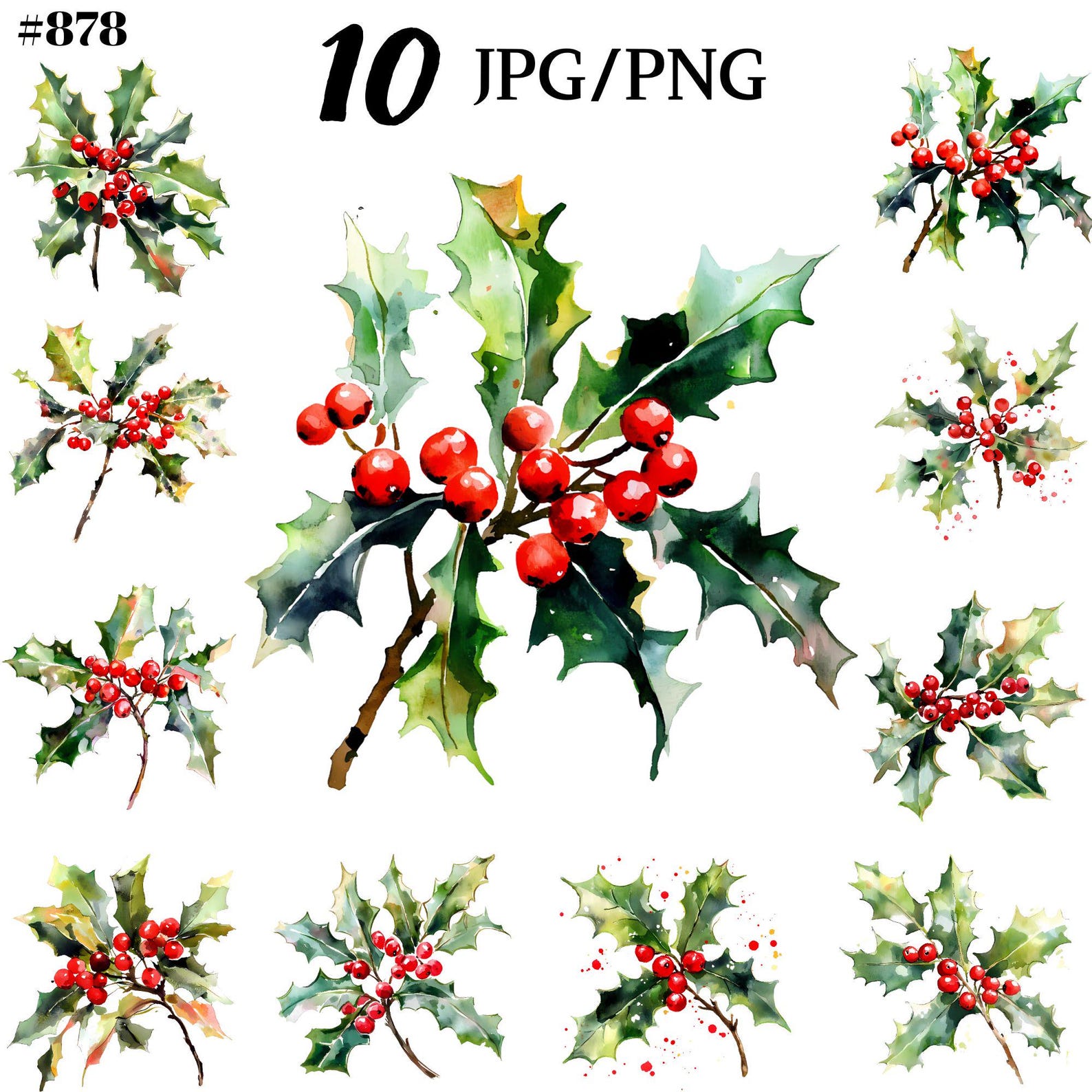 Watercolor Holly Clipart, Birth Month Flower - Instant Download for ...