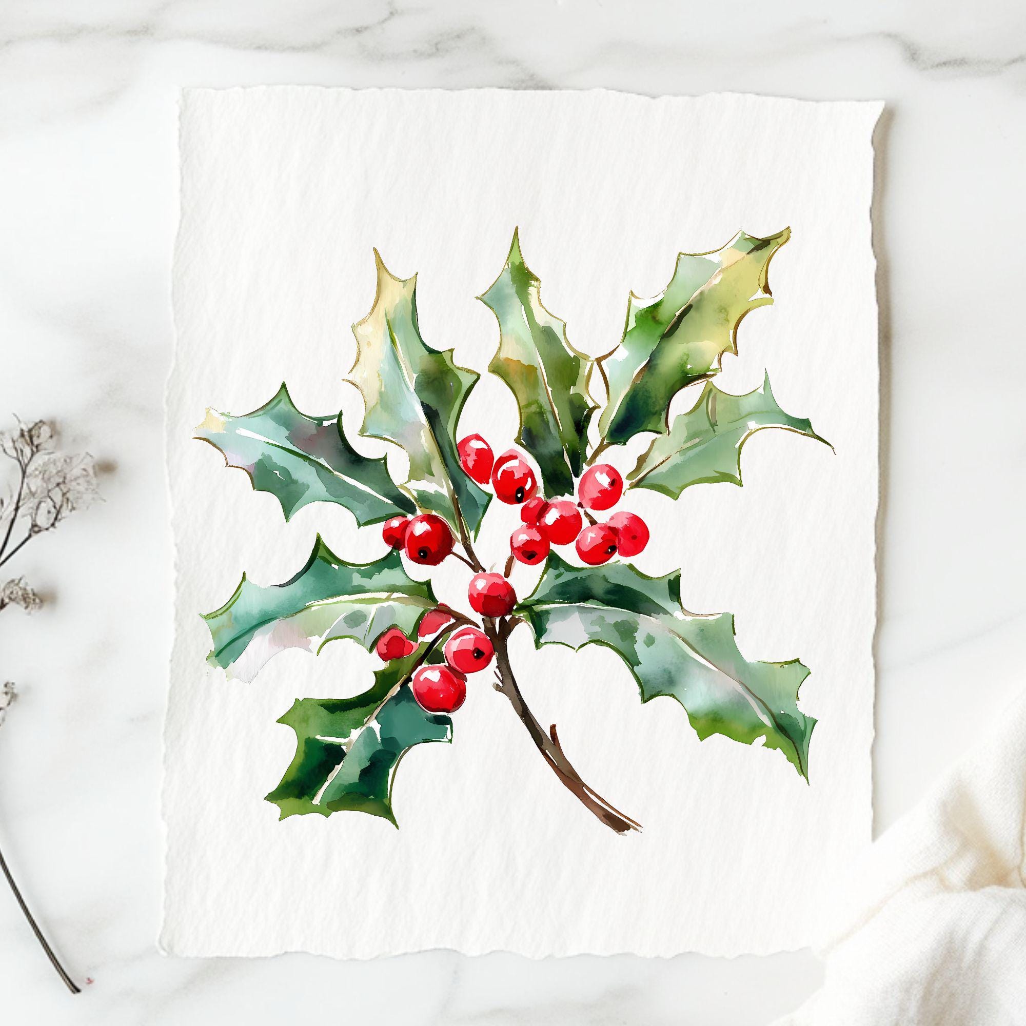 Watercolor Holly Clipart, Birth Month Flower - Instant Download for ...