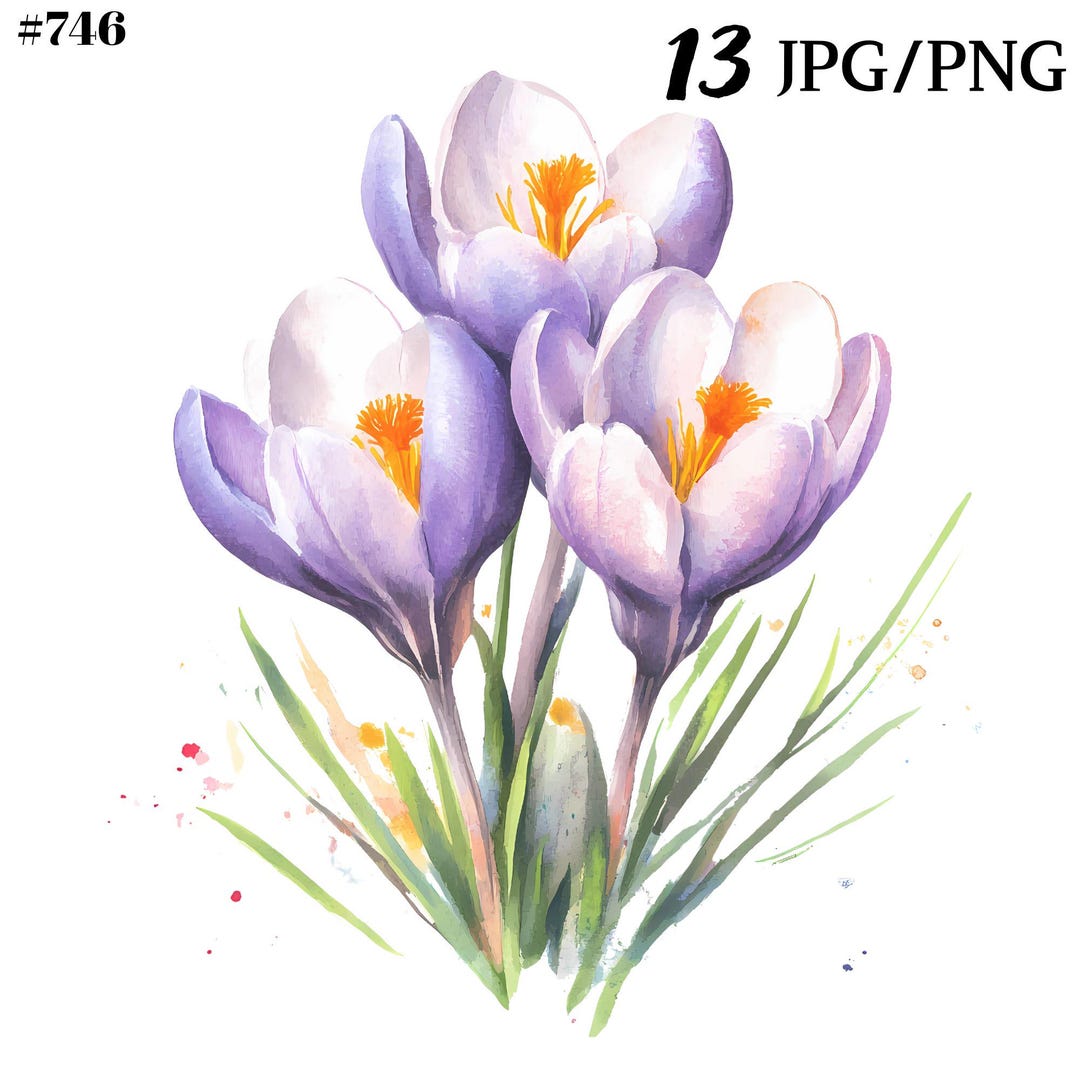 Flower Clipart, Crocus Clipart, Spring Clipart, Flower Clipart Bundle ...