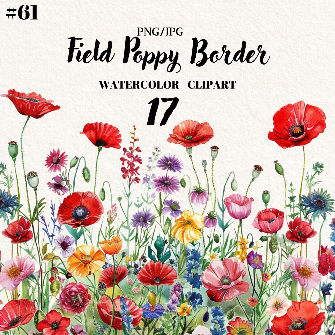 Digital Watercolor Poppy Borders, Instant Download Clipart Set ...