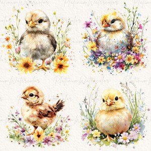 Easter Clipart, Spring Clipart, Chicken Watercolor Clipart Bundle ...