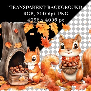 10 Squirrel Png, Animals Clipart, Fall Png, Transparent Background ...