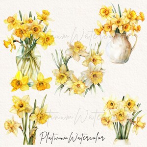 Watercolor Flowers Daffodil Easter Clipart, Clipart Bundle Daffodil ...
