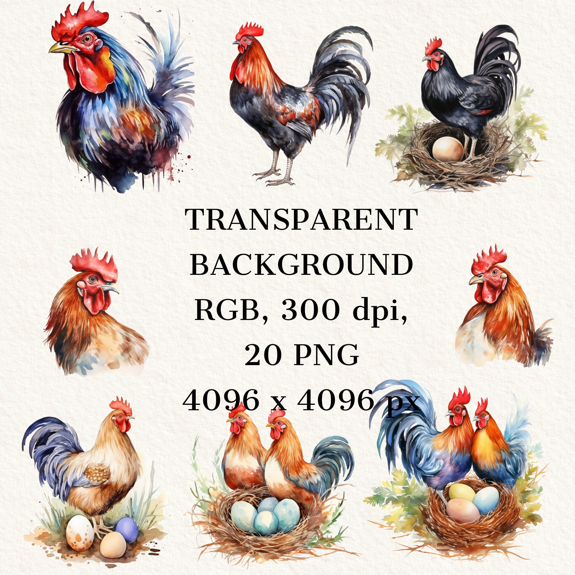 Watercolor Rooster Clipart, Chicken Png, Watercolor Chicken Clipart ...