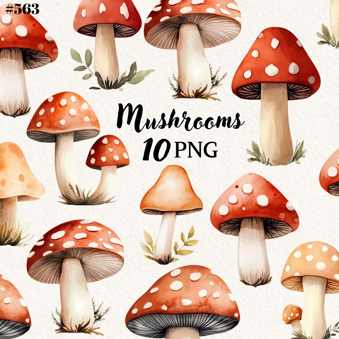Mushroom Clipart, Toadstool Png, Fall Clipart, Transparent Background ...