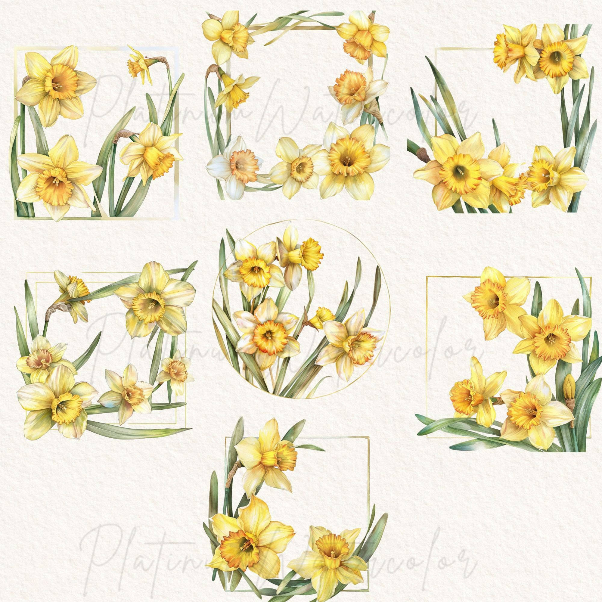 Watercolor Daffodils Frame Clipart, Spring Flower Frame, Flowers ...