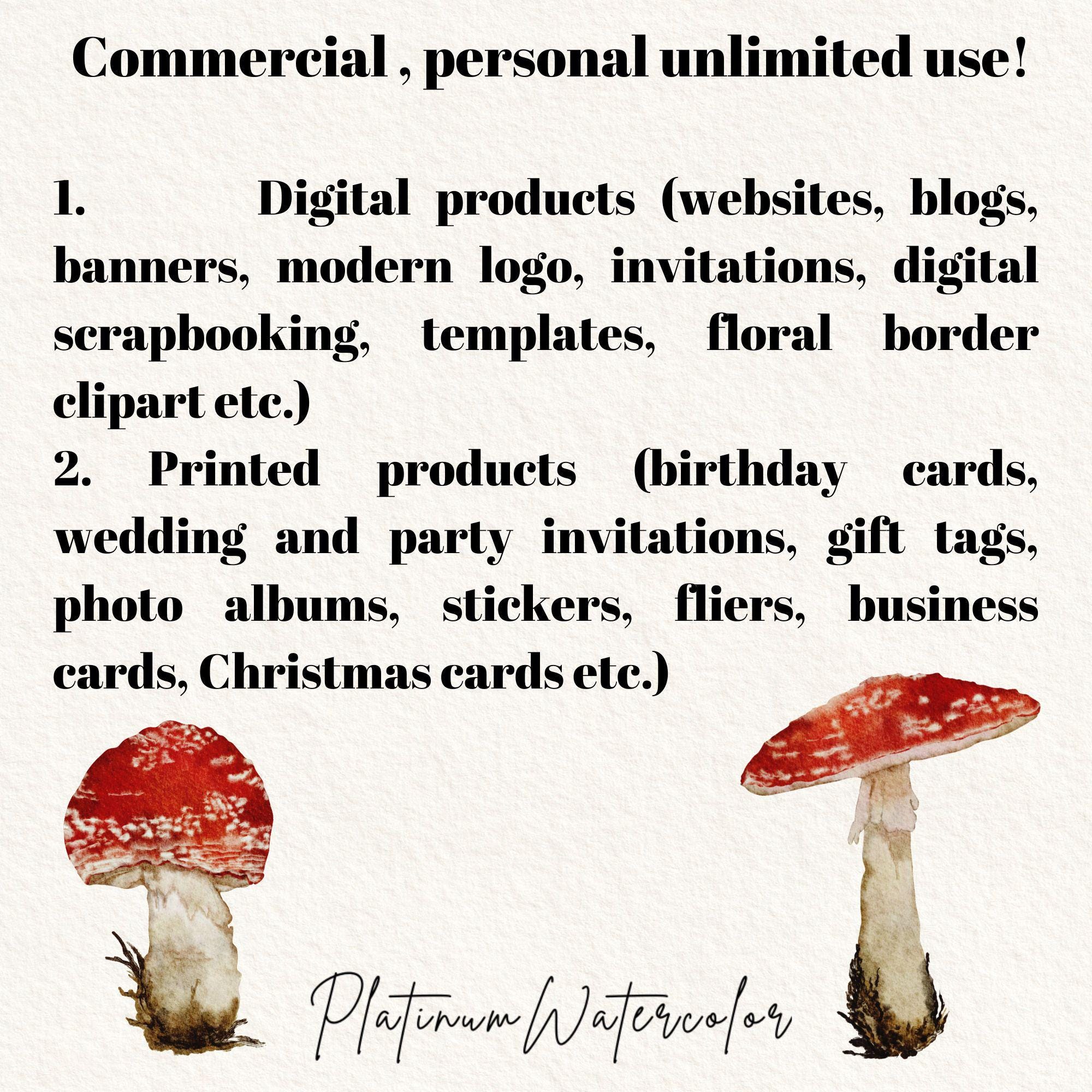 Hand Painted Mushrooms Clipart Bundle, Toadstool PNG, Transparent ...