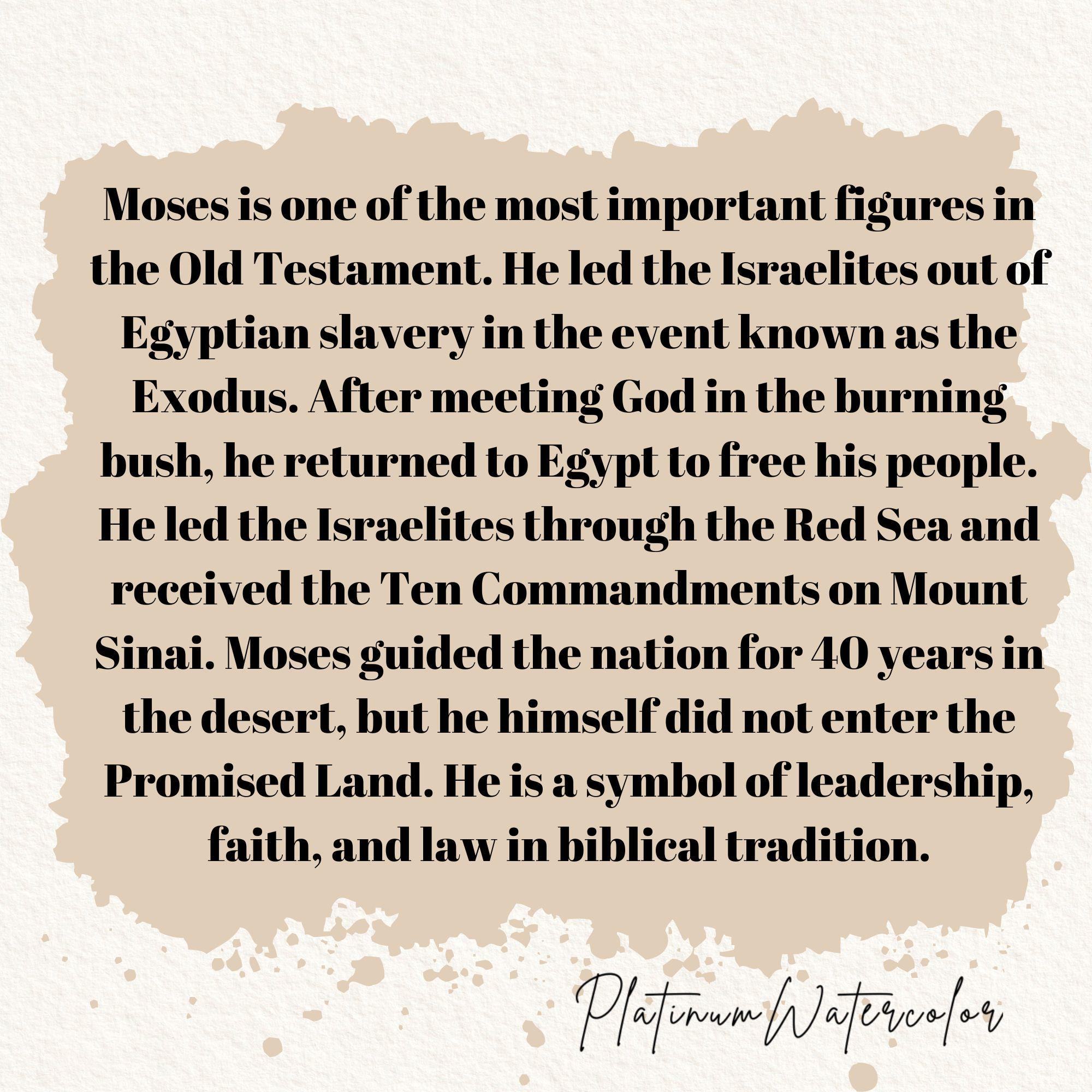 Moses Old Testament Clipart Bundle, Bible Study, Transparent Background ...