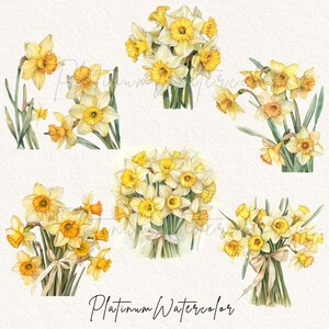 Watercolor Flowers Daffodil Easter Clipart, Clipart Bundle Daffodil ...