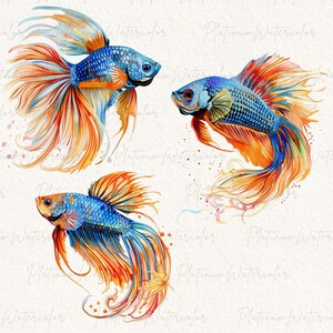Fish Ocean Clipart Bundle, Sea Animals, Sea World Clipart, Transparent ...
