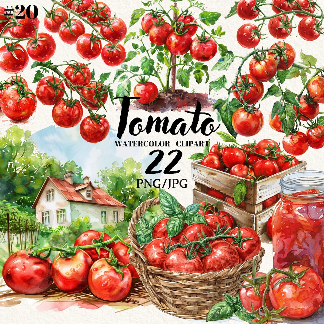 Watercolor Clipart Tomato Png, Vegetable Clipart Png, Garden Clipart ...