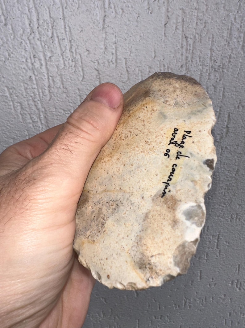 A Large Middle Paleolithic French Levallois Flake Tool Featuring a ...
