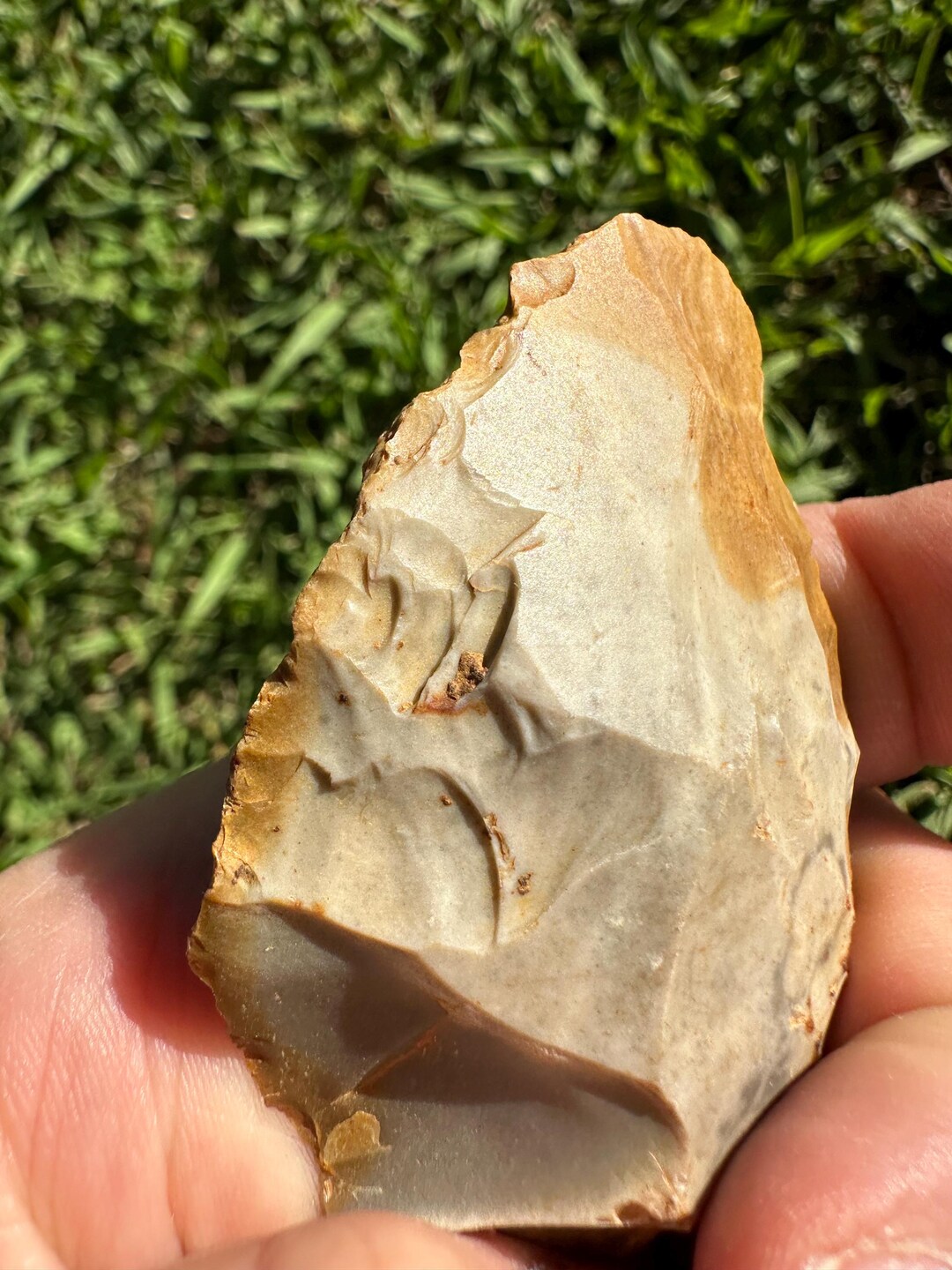 A Damaged, Bi-colored French Neanderthalian Biface From an Old ...