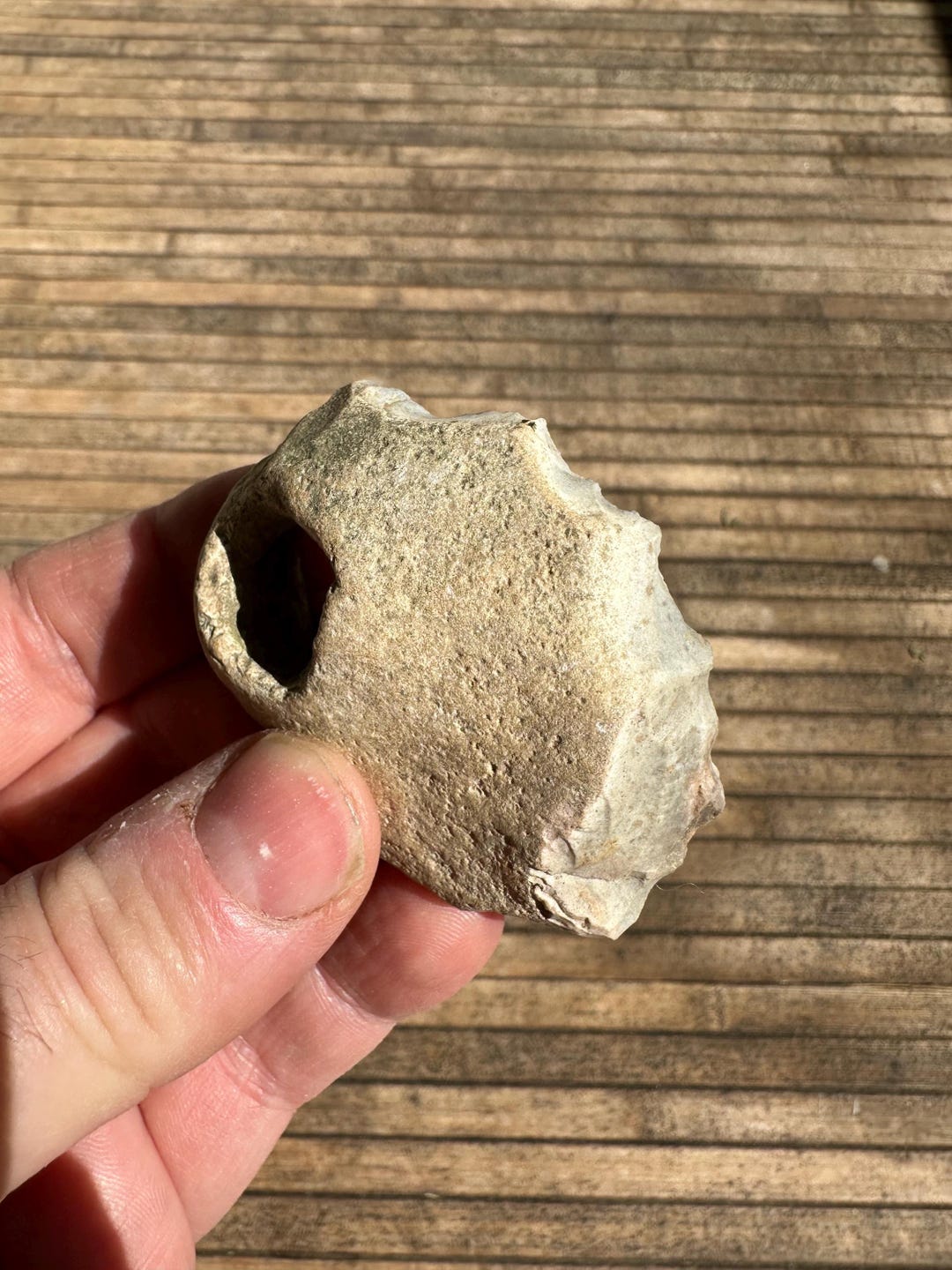 A Rare Neanderthal Denticulated Scraper Fashioned Around a Natural ...