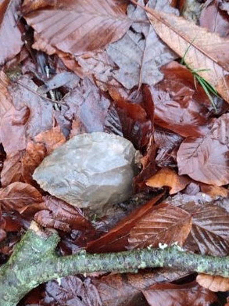 Museum French Neanderthalian Hand Axe With Accuracte Info About ...