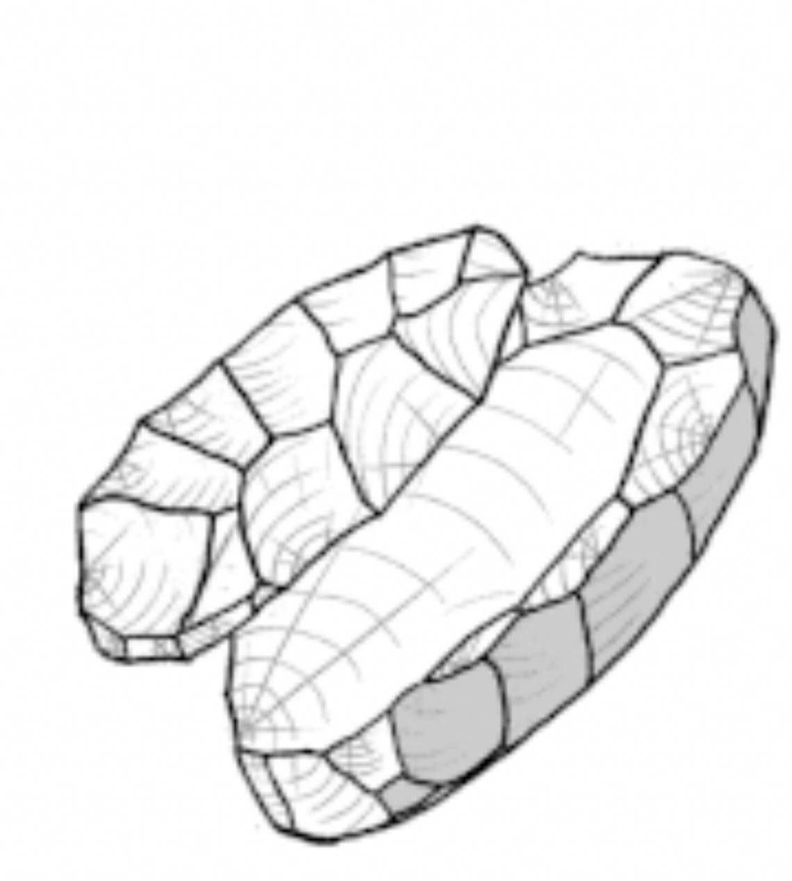 A Large Middle Paleolithic French Levallois Flake Tool Featuring a ...
