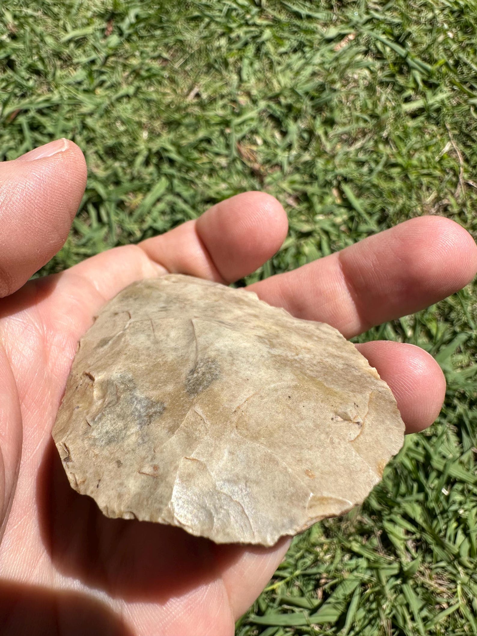 Museum Perfectly Pear-shaped French Neanderthalian Hand Axe From an Old ...