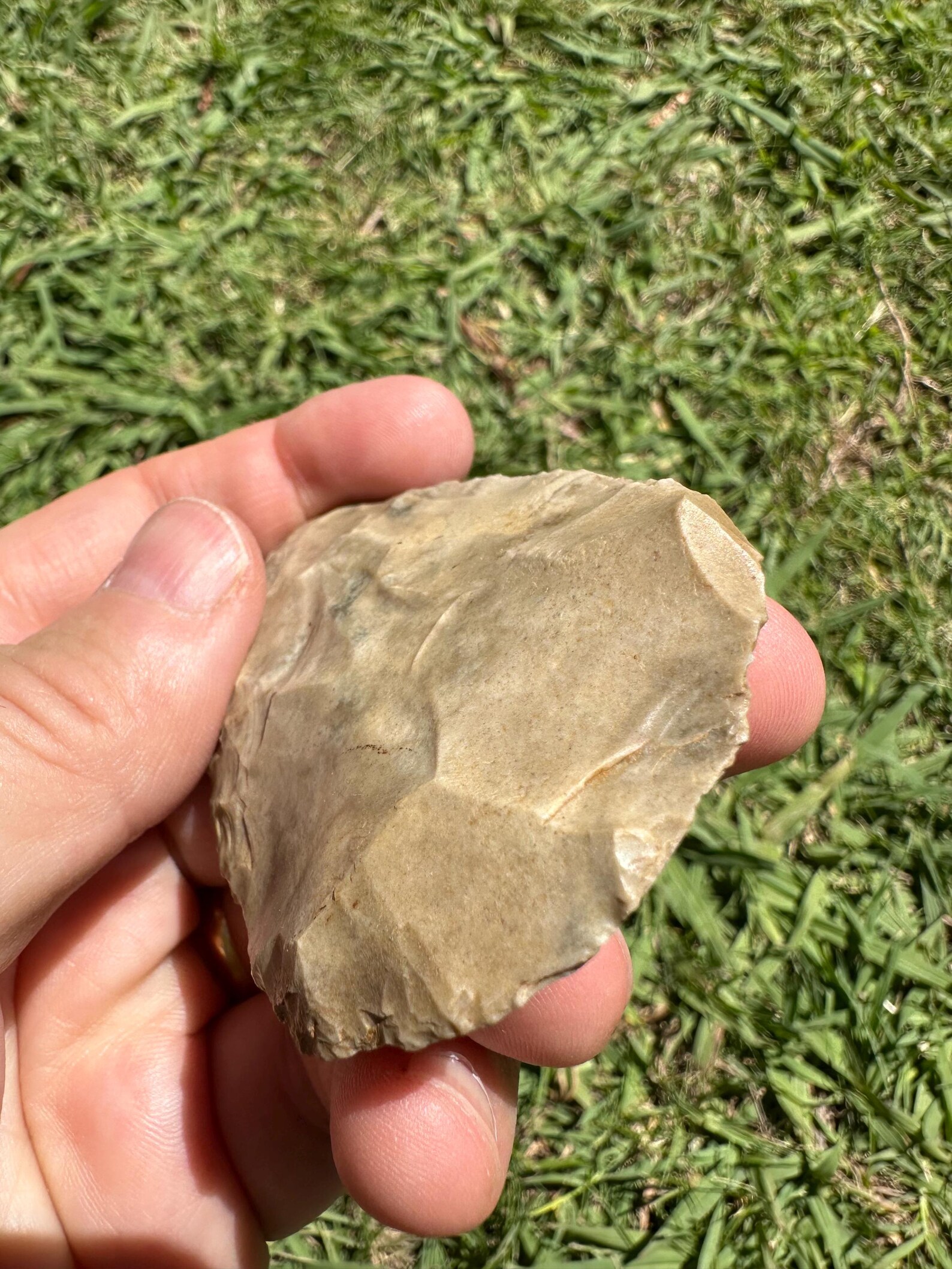 Museum Perfectly Pear-shaped French Neanderthalian Hand Axe From an Old ...