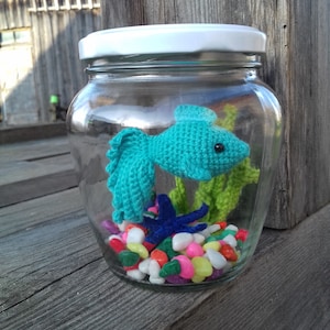 Small Aquarium Set Set With Mint Fish Starfish Water Grass and Aquarium ...