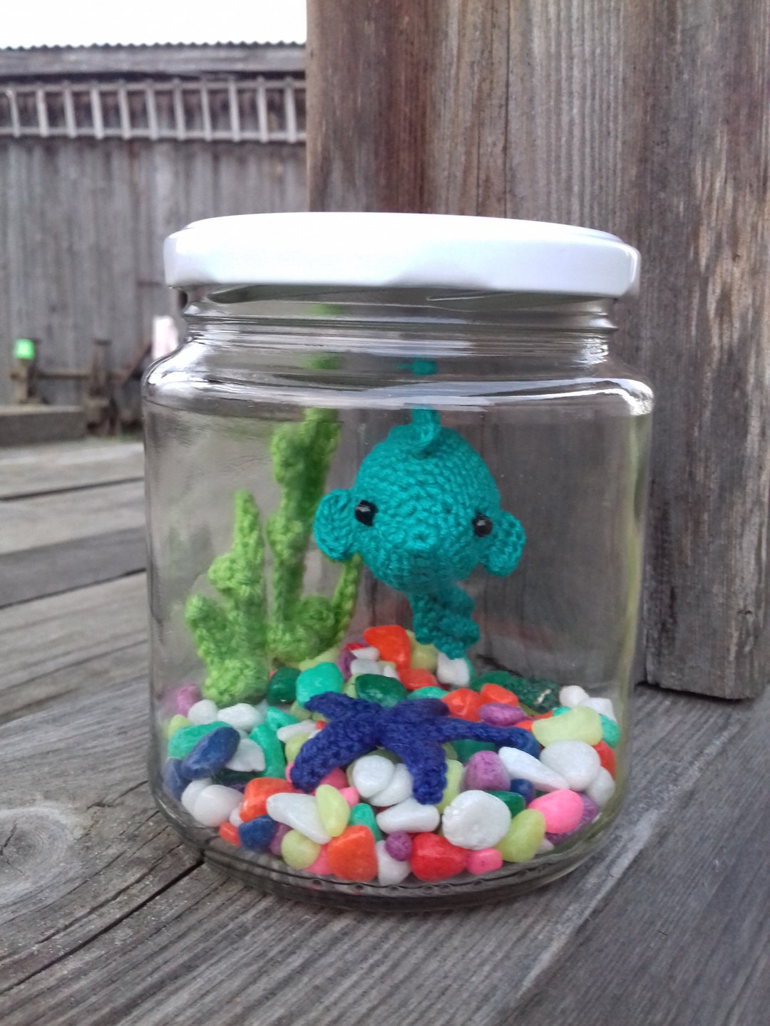 Small Aquarium Set Set With Fish Starfish Water Grass and Aquarium ...