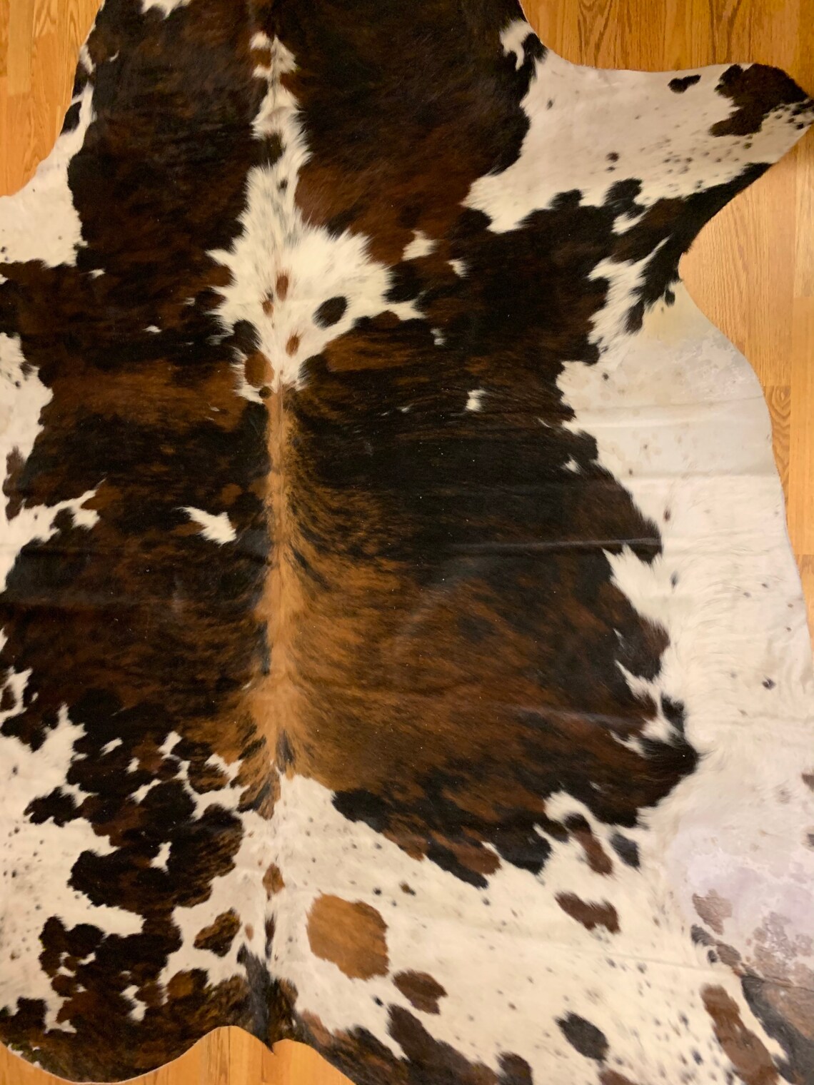 Cowhide Rug - Etsy