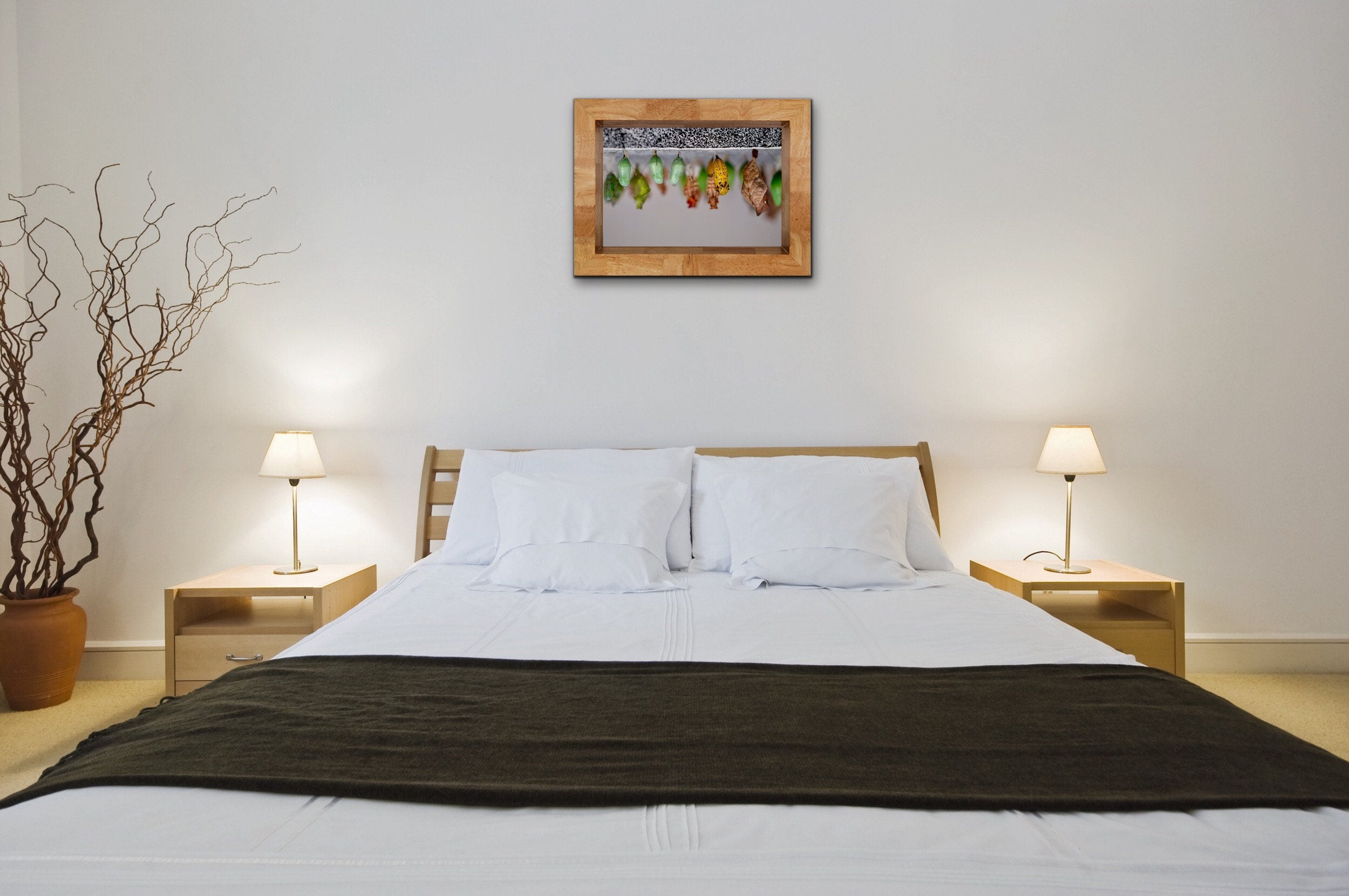 Butterfly Cocoon Print, Cocoon Photo Print, Butterfly Art, Nature ...