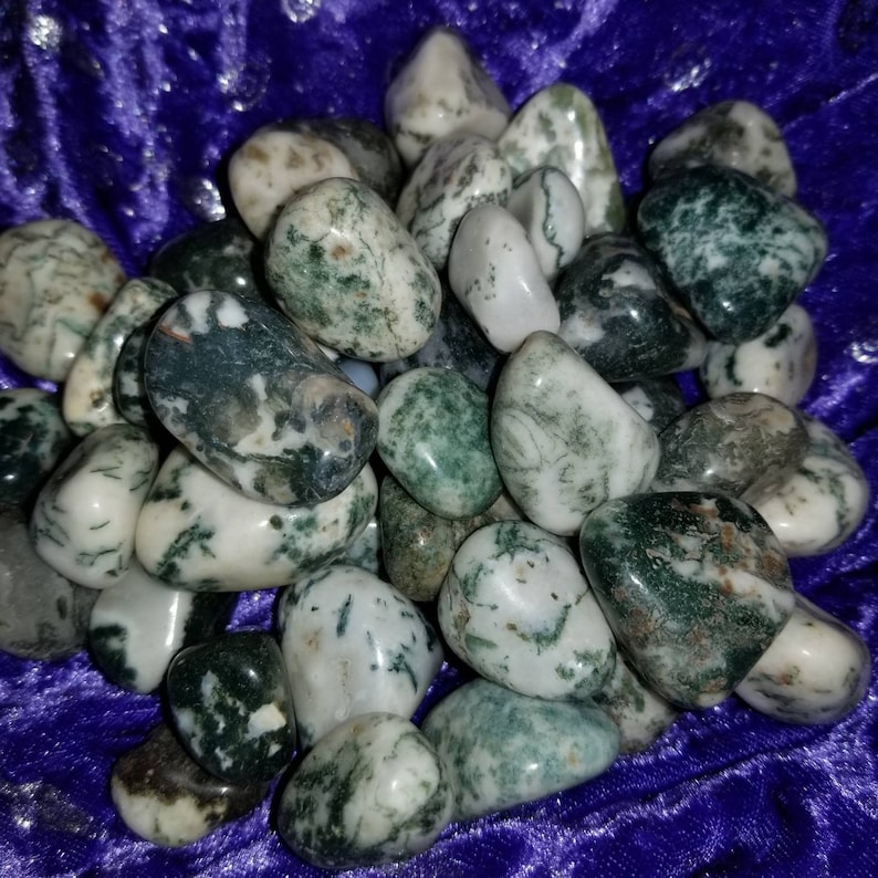 Green Tree Agate, Tumbled, Individual Stone, Wealth Money Luck Gambling Energy Vampires ...