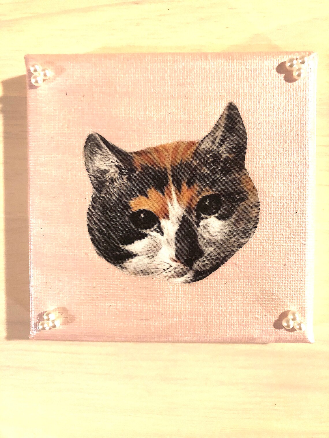 Cat Cubes Etsy