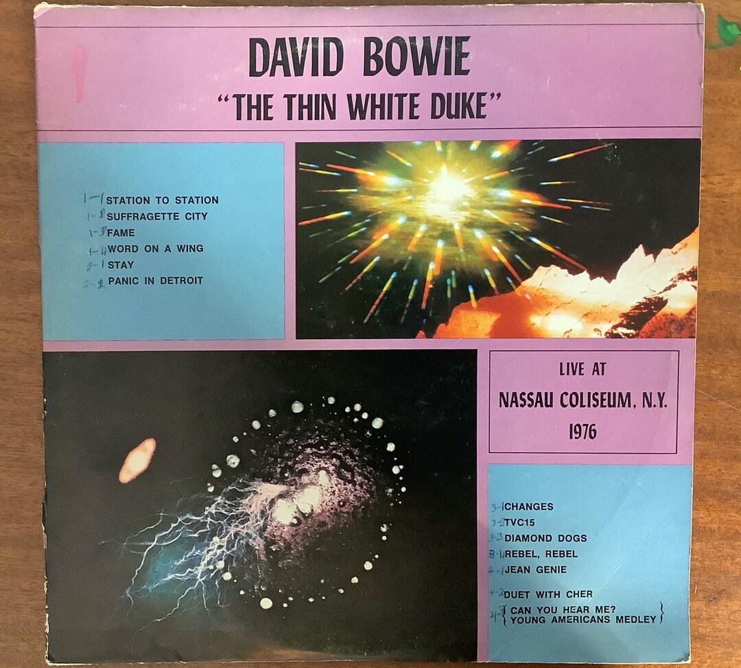David Bowie - the Thin White Duke - Etsy