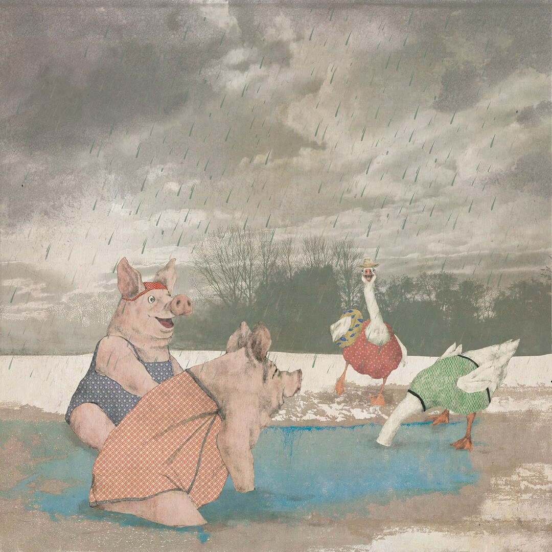 Home Decoration Poster With Animals Digital Printing With Instant ...