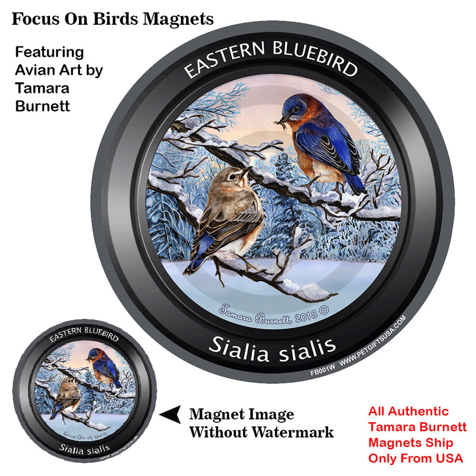 Blue Bird (eastern) Winter Scene Focus on Bird Magnet - Etsy