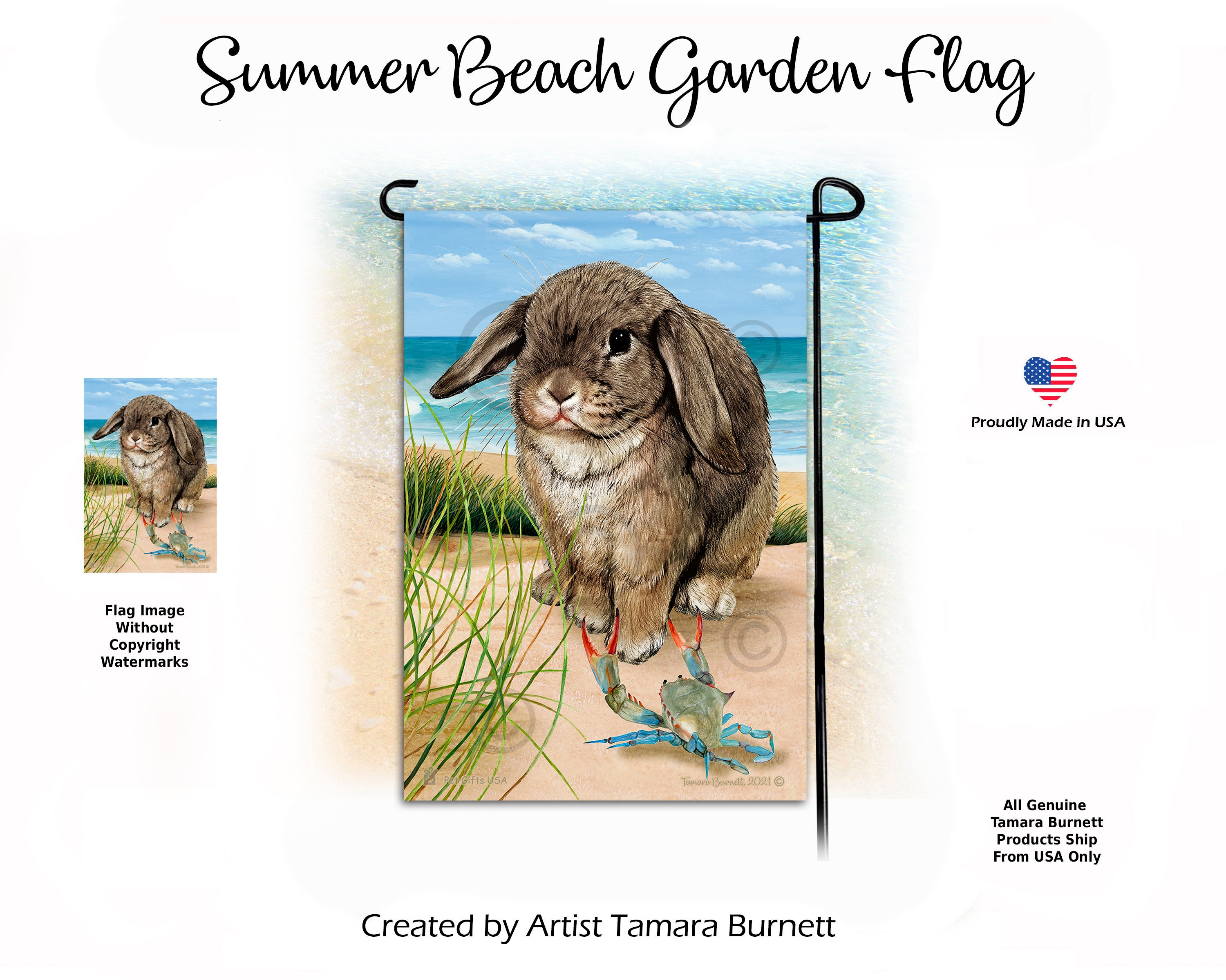 Cute Agouti Mini Lop Bunnies