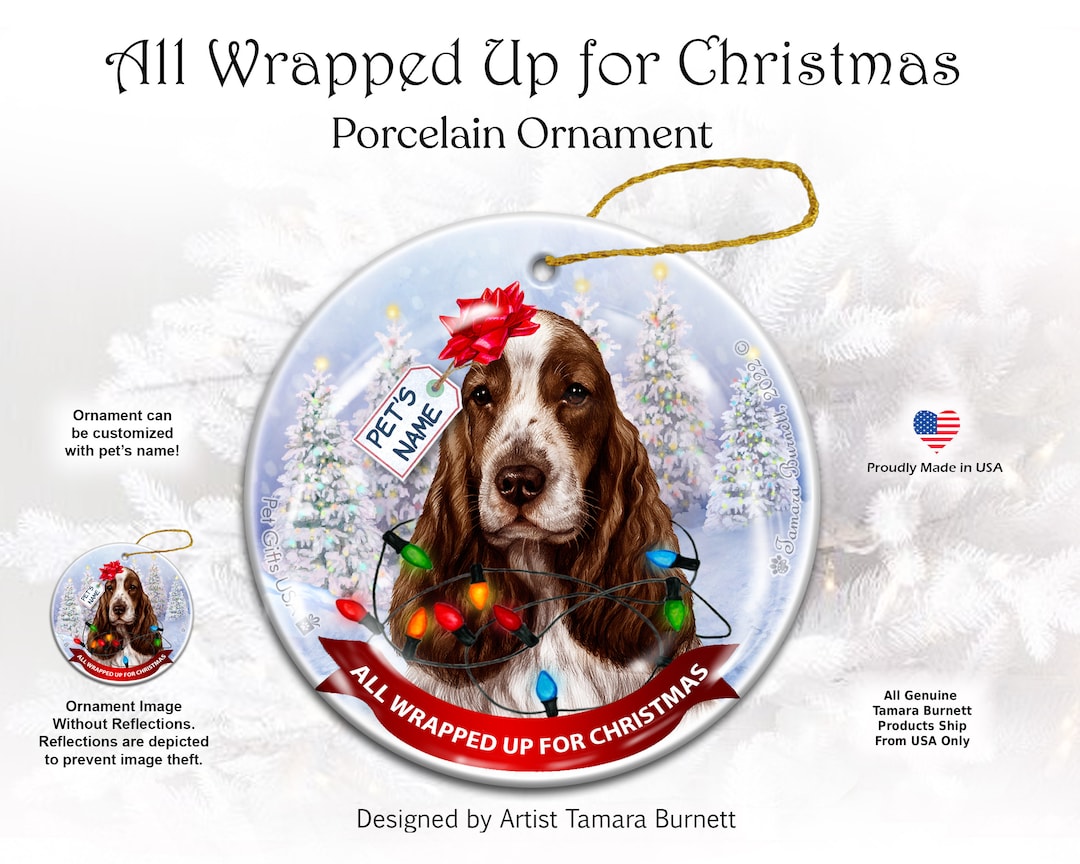 English Cocker Spaniel Liver & White All Wrapped up for Christmas ...