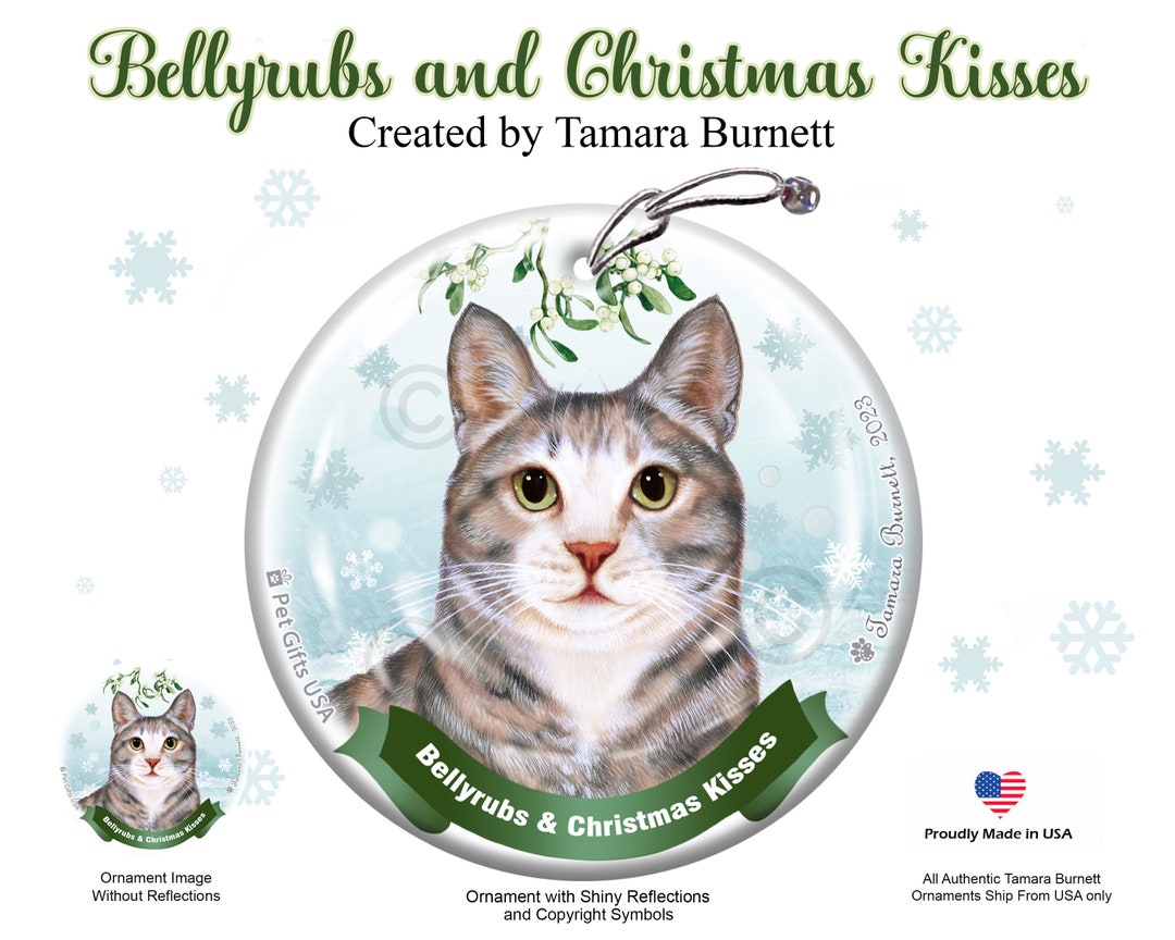 Blue Cream Tortoiseshell Tuxedo Cat - Belly Rubs and Christmas Kisses ...