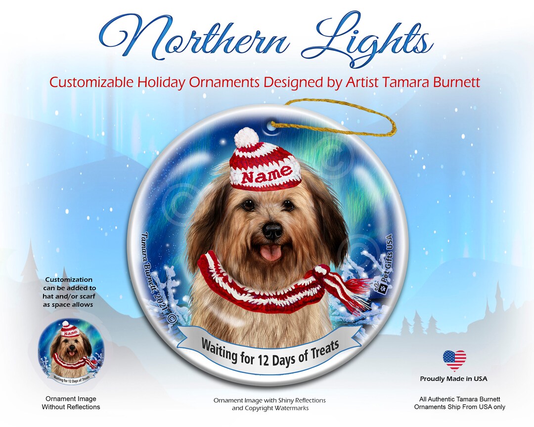 Havanese Brown Sable Northern Lights Christmas Ornament - Etsy