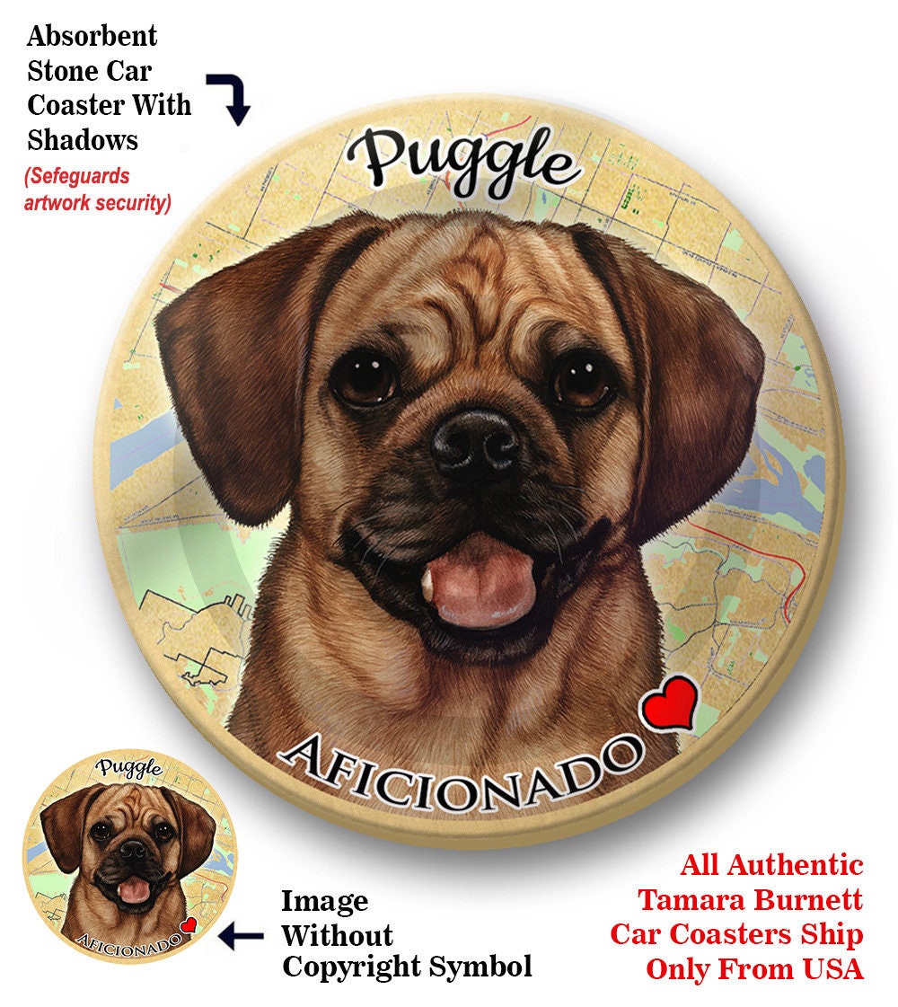 Pack of Two Puggle fawn Pet Gifts Coaster Buddies Dogs - Etsy