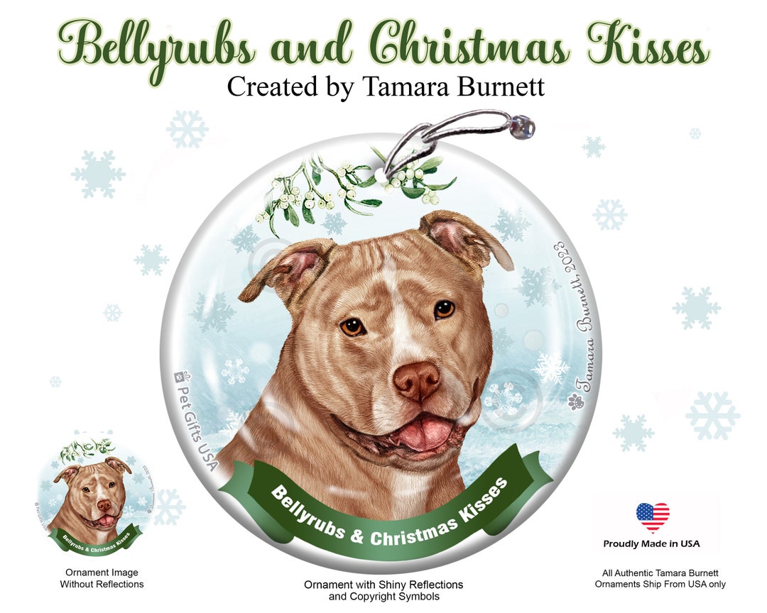 Pit Bull Cream and White Uncropped - Bellyrubs and Christmas Kisses ...