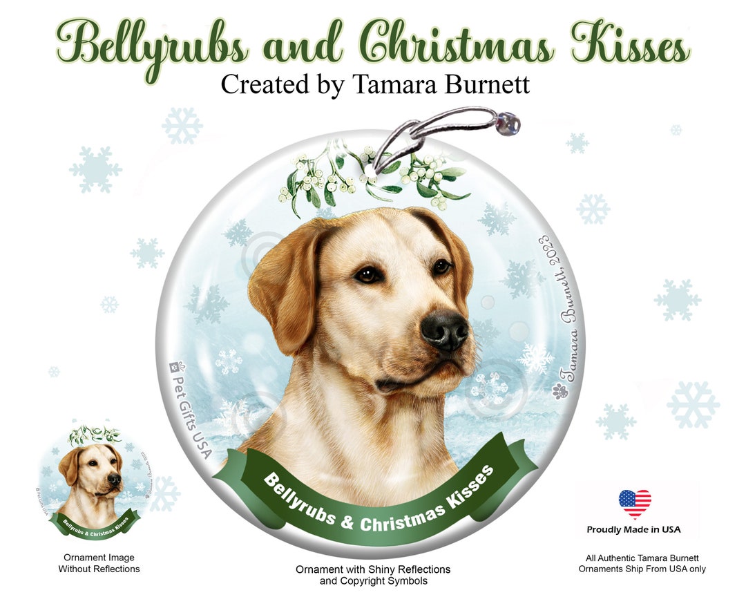 Labrador Retriever American Yellow - Belly Rubs and Christmas Kisses ...