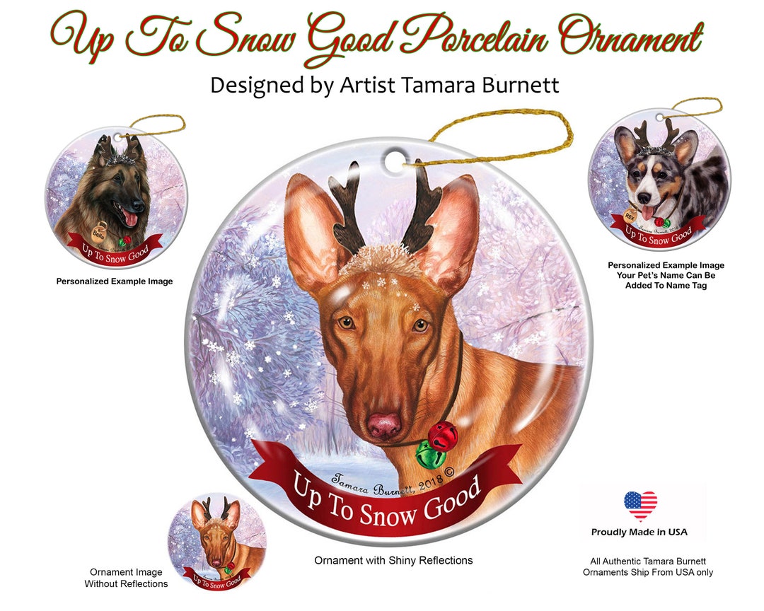 Pharaoh Hound up to Snow Good Ornament - Etsy