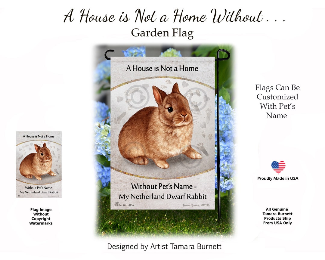 Rabbit - A House is Not A Home Without My Netherland Dwarf Cinnamon ...